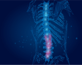 Spine Themes for 2023: Great Expectations